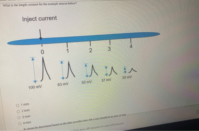 Solved What is the length constant for the example neuron | Chegg.com