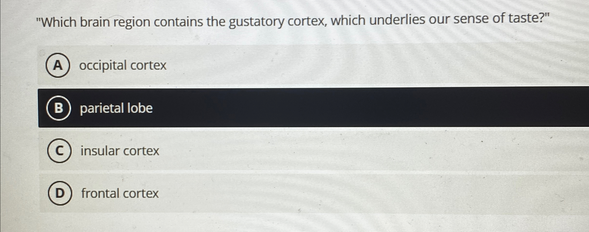 Solved "Which brain region contains the gustatory cortex, | Chegg.com