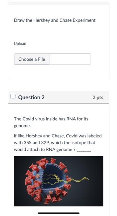 Solved Draw the Hershey and Chase Experiment Upload Choose a | Chegg.com