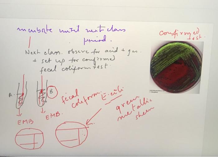 Solved Experiment Date........... Experiment # Title: | Chegg.com