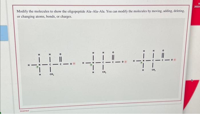 Solved Modify the molecules to show the oligopeptide | Chegg.com