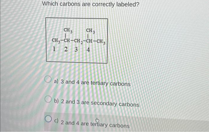 Solved Which carbons are correctly labeled? CH 3 | Chegg.com