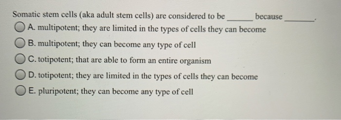 Solved Somatic stem cells (aka adult stem cells) are | Chegg.com