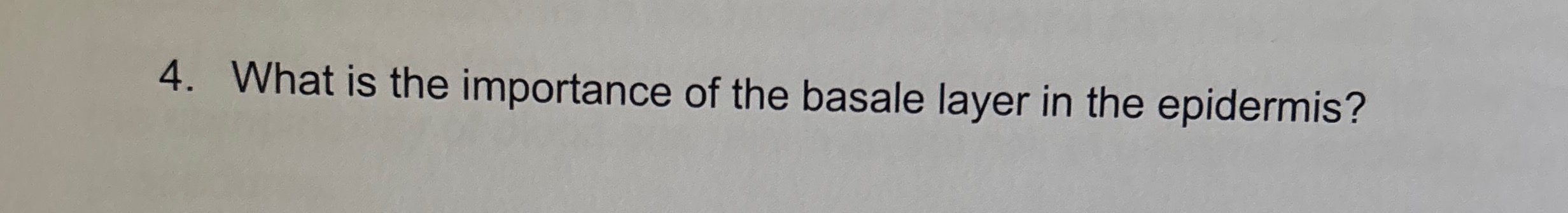 Solved What is the importance of the basale layer in the | Chegg.com