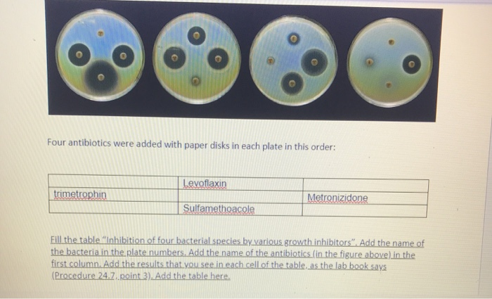 Solved This was the result of the sensitivity plates: Plate | Chegg.com