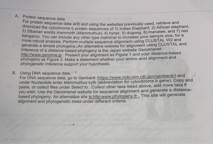 BIOLOGY 332: BIOINFORMATICS EXERCISE 4: PHYLOGENY OF | Chegg.com