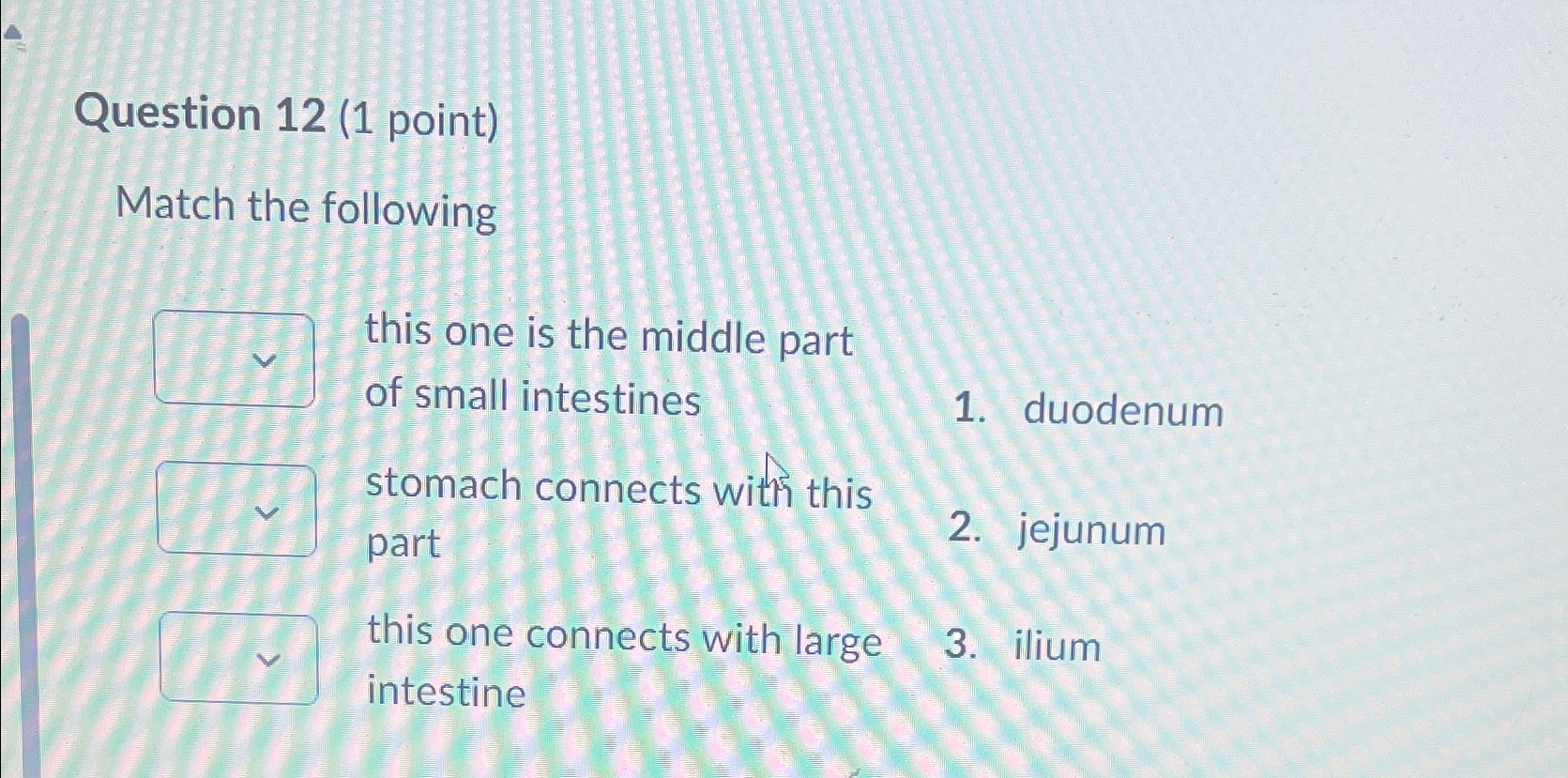 Solved Question 12 (1 ﻿point)Match the following ﻿this one | Chegg.com