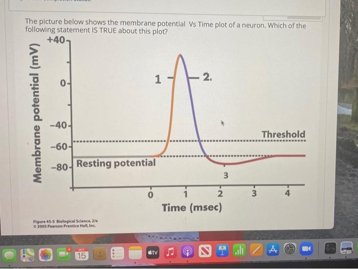 Solved The picture below shows the membrane potential Vs | Chegg.com
