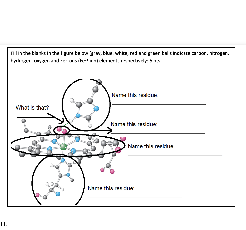 [Solved]: Fill in the blanks in the figure below (gray, blue