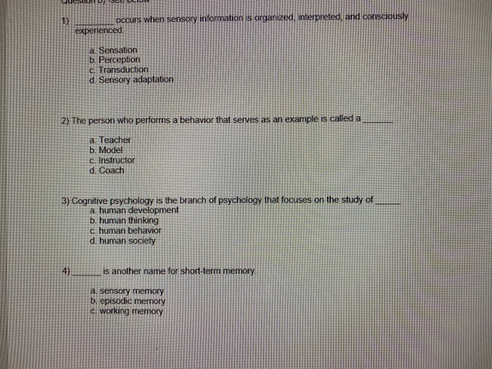 Solved Lues II SEE OLI occurs when sensory information is | Chegg.com