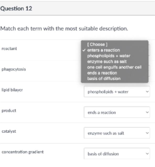 Solved Match each term with the most suitable description. | Chegg.com