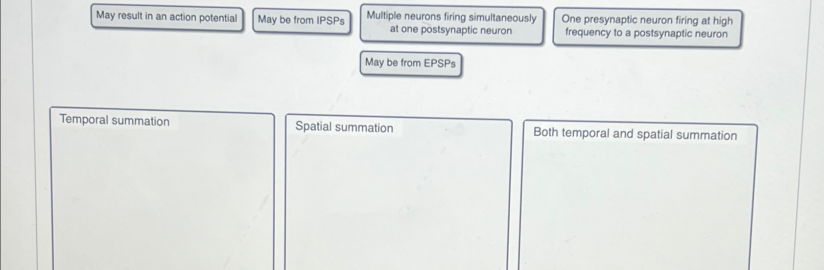 Solved Multiple neurons firing simultaneously at one | Chegg.com