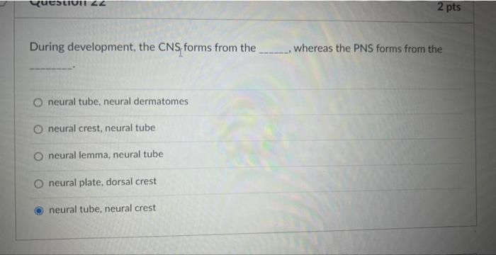 Solved During development, the CNS forms from the . whereas | Chegg.com