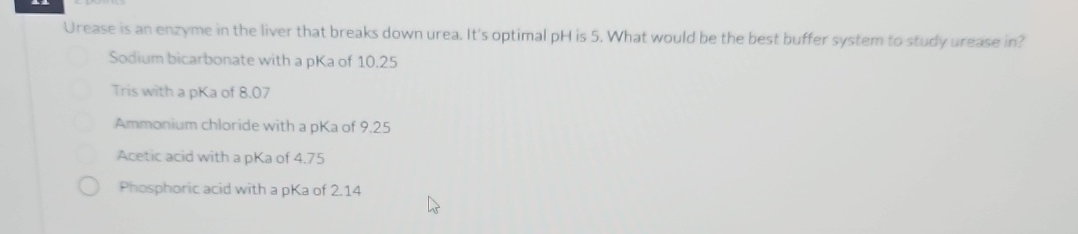 Solved Urease is an enzyme in the liver that breaks down | Chegg.com