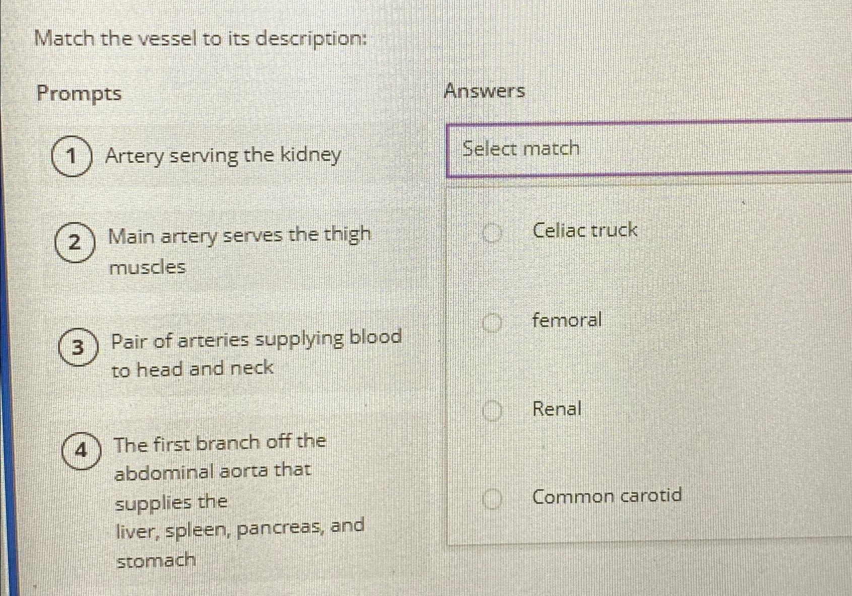 Solved Match the vessel to its description:PromptsArtery | Chegg.com