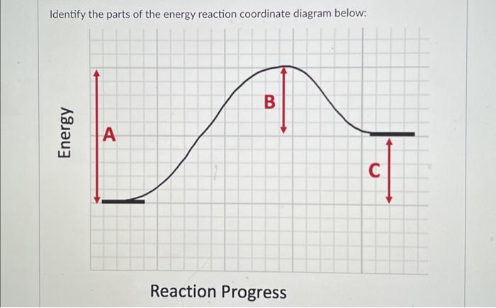 Solved Identify the parts of the energy reaction coordinate | Chegg.com
