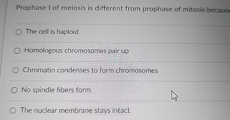 Solved Prophase I of meiosis is different from prophase of | Chegg.com