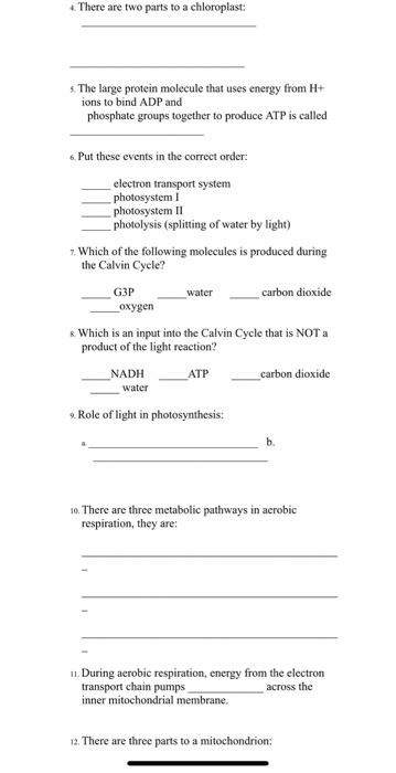 Solved Assignment: Comparing Photosynthesis and Respiration | Chegg.com