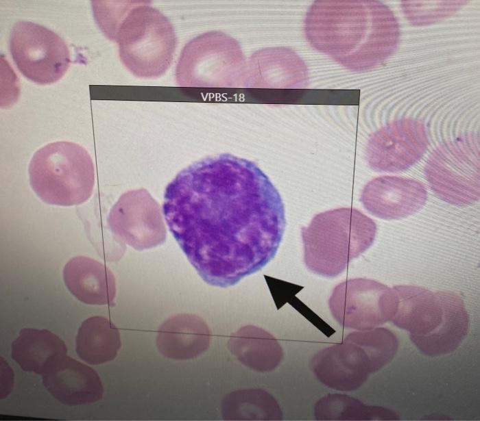 can you tell me please what is this exactly?? is it | Chegg.com