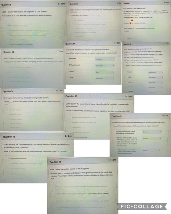 explain why are these the right answers for each LO | Chegg.com