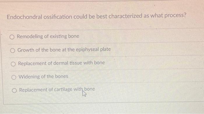 Solved Endochondral ossification could be best characterized | Chegg.com