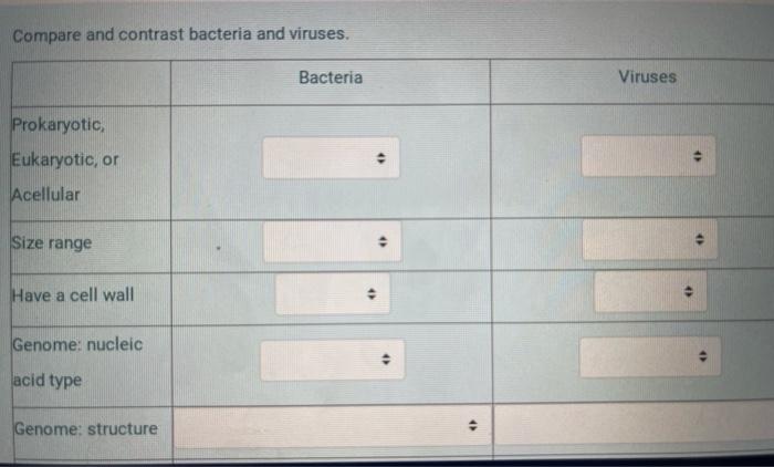 Solved Compare and contrast bacteria and viruses. Bacteria | Chegg.com