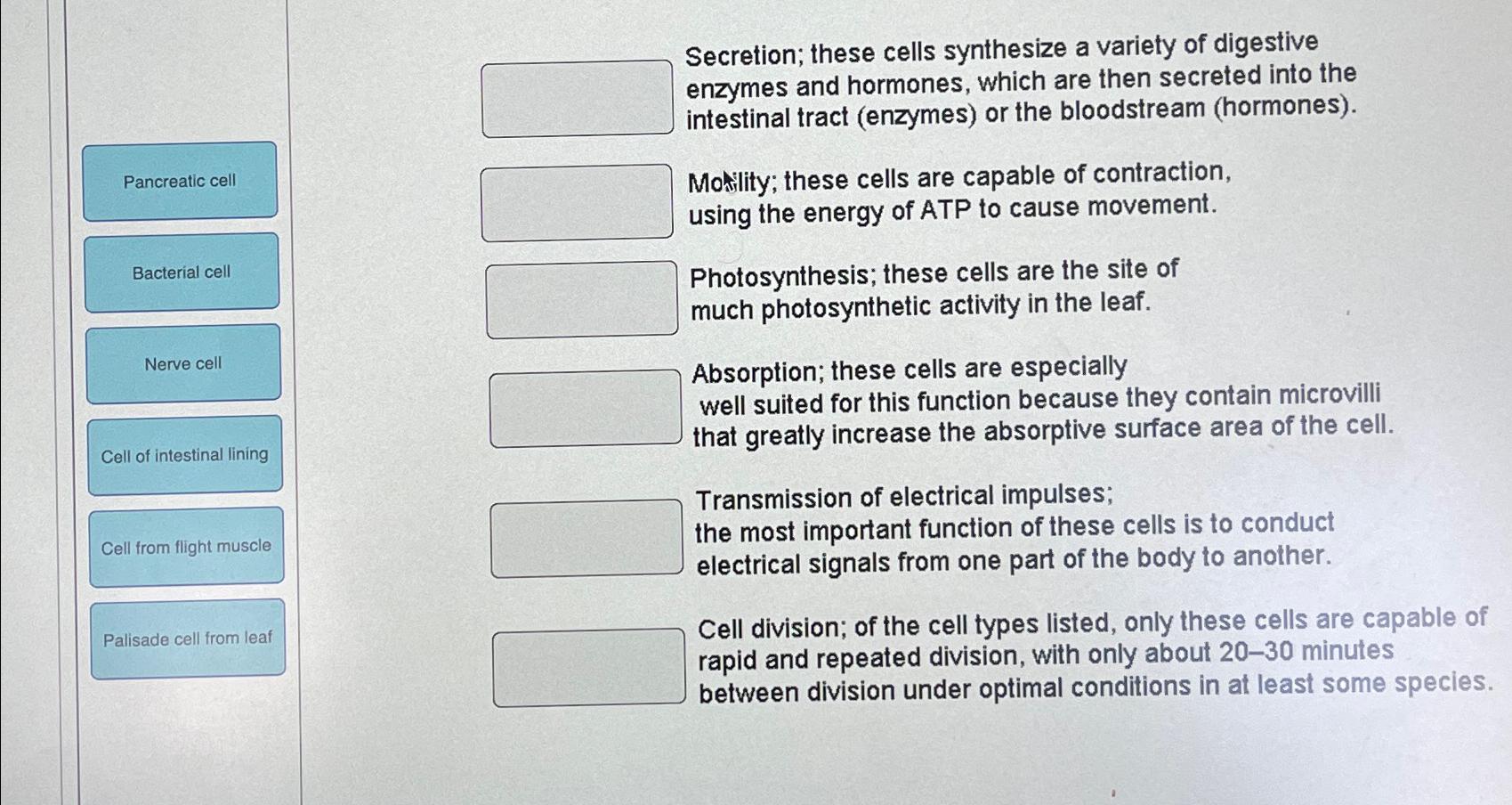 Solved Secretion; these cells synthesize a variety of | Chegg.com