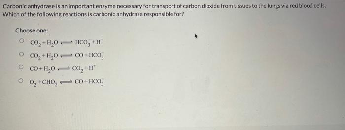Solved Carbonic anhydrase is an important enzyme necessary | Chegg.com