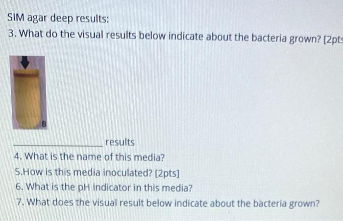 Solved SIM agar deep results: 3. What do the visual results | Chegg.com