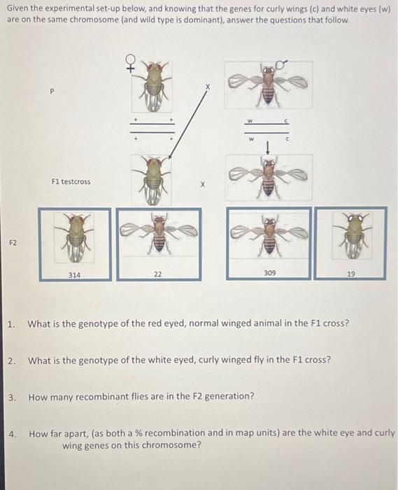 Solved Given the experimental set-up below, and knowing that | Chegg.com