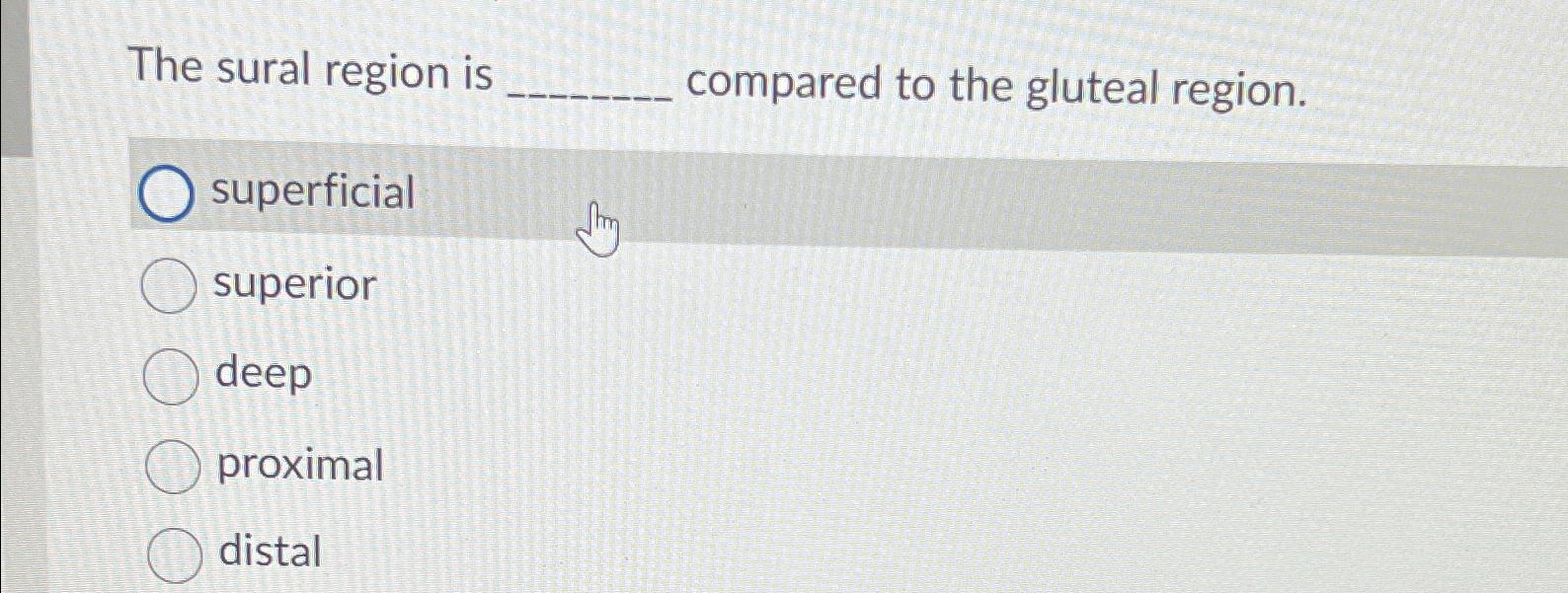 Solved The sural region is compared to the gluteal | Chegg.com