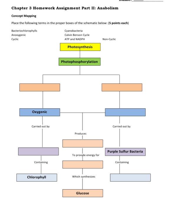 Solved Chapter 3 Homework Assignment Part II: Anabolism | Chegg.com