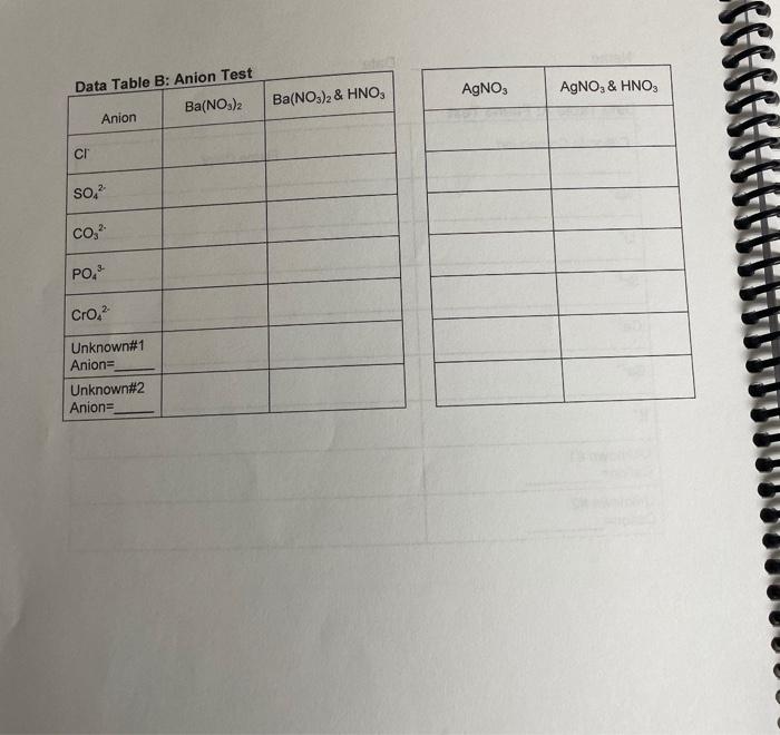 Data Table B: Anion Test \begin{tabular}{|l|l|} | Chegg.com