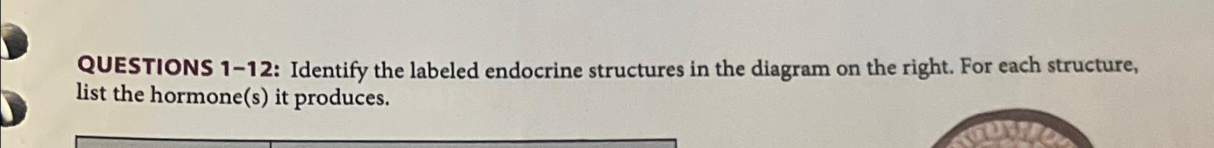 Solved QUESTIONS 1-12: Identify the labeled endocrine | Chegg.com