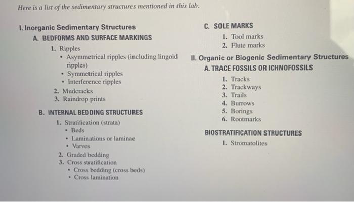Solved 5. Identify the following sedimentary structures. | Chegg.com