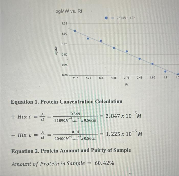 Solved Equation 1. Protein Concentration Calculation + His: | Chegg.com