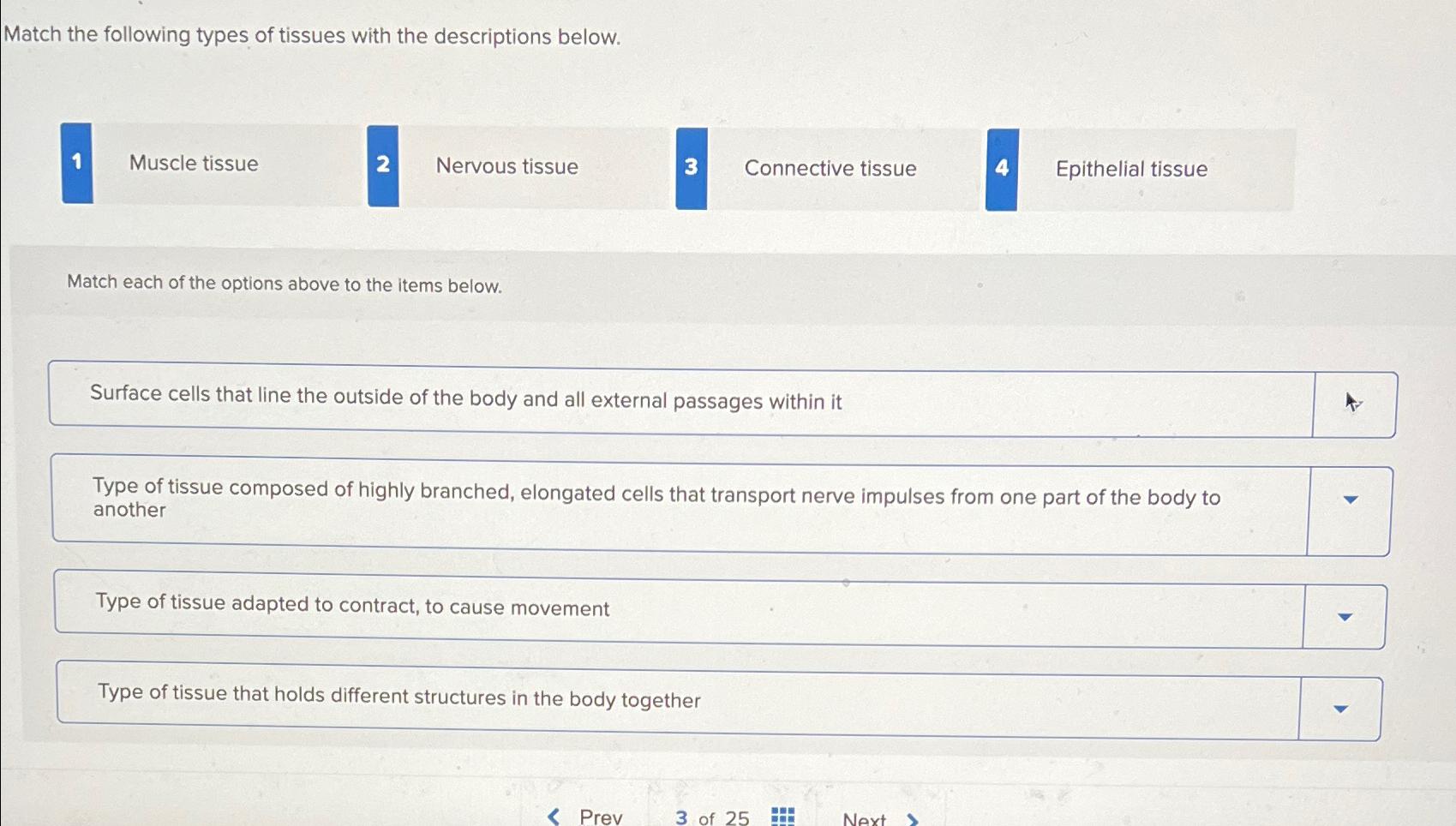 Solved Match the following types of tissues with the | Chegg.com