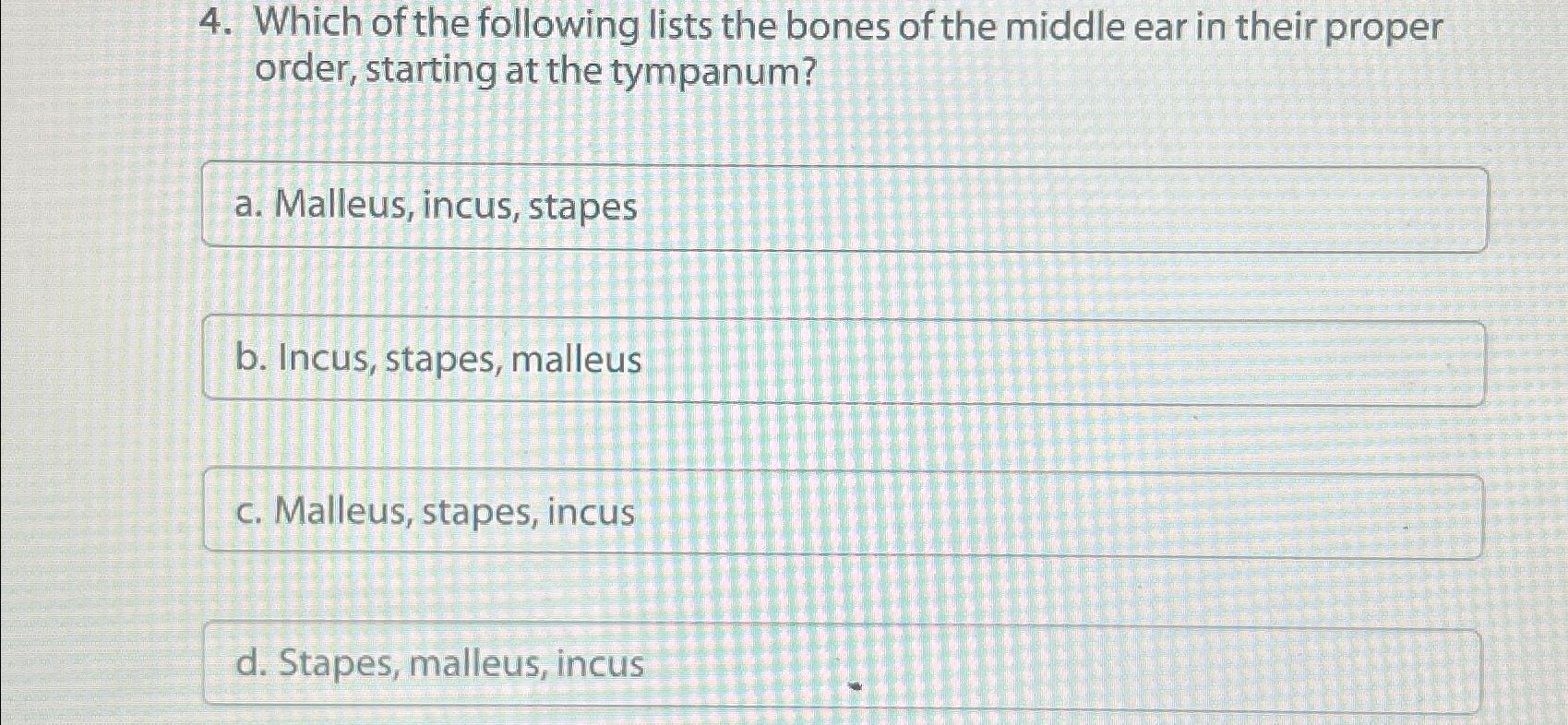 Solved Which of the following lists the bones of the middle | Chegg.com