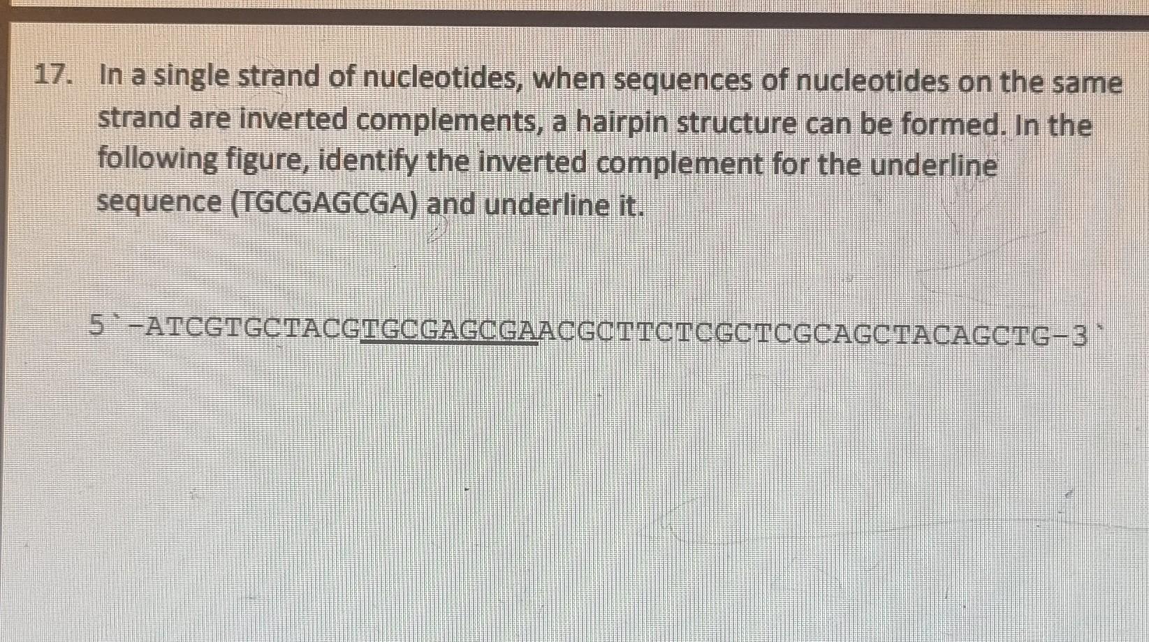 Solved 17. In a single strand of nucleotides, when sequences | Chegg.com