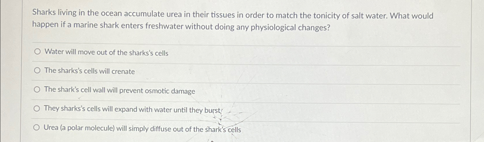 Solved Sharks living in the ocean accumulate urea in their | Chegg.com