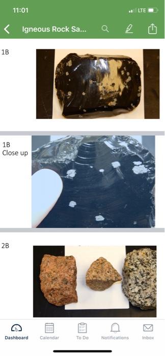 Solved Igneous Rock ID Chart pg 142 IGNEOUS ROCKS WORKSHEET | Chegg.com
