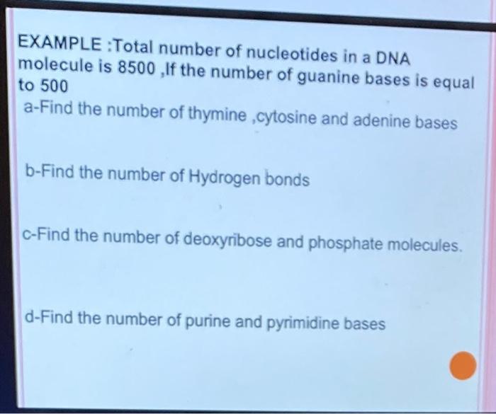 EXAMPLE :Total number of nucleotides in a DNA | Chegg.com