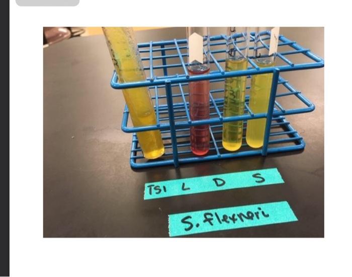 Solved Observations and Results Result Lactose Observation | Chegg.com