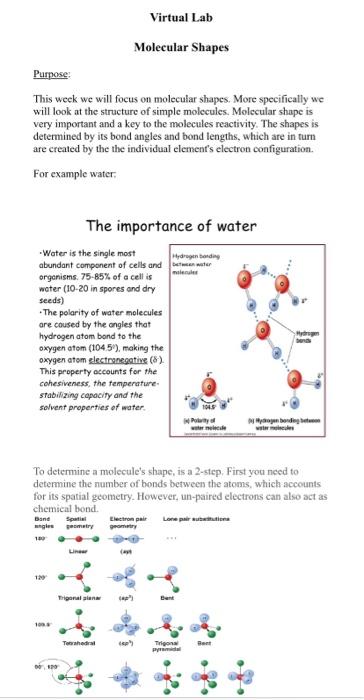 Solved Virtual Lab Molecular Shapes Purpose This week we | Chegg.com