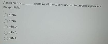 Solved A molecule of polypeptide. contains all the codons | Chegg.com