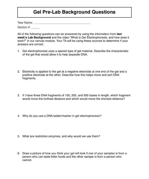 Solved All of the following questions can be answered by | Chegg.com