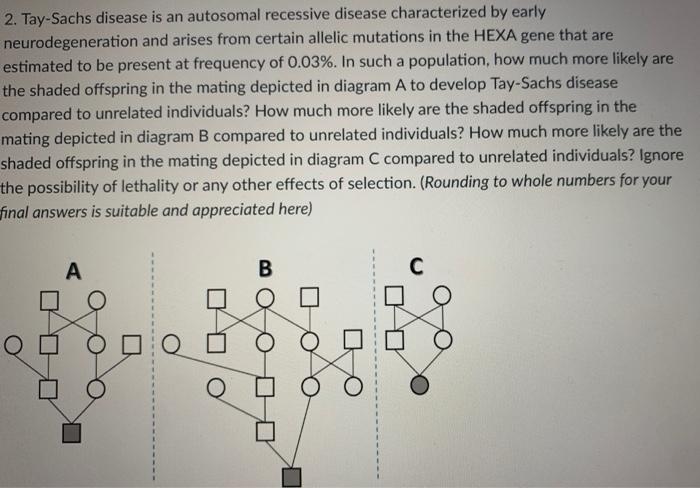 2. Tay-Sachs disease is an autosomal recessive | Chegg.com