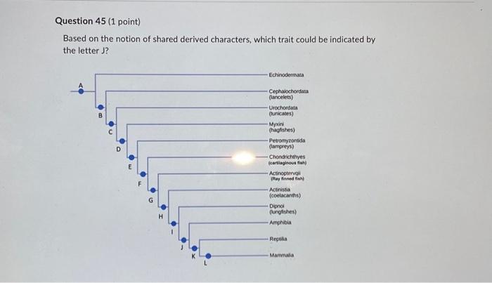 Solved Based on the notion of shared derived characters, | Chegg.com