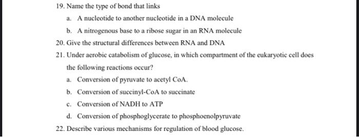 Solved 19. Name the type of bond that links 1. A nucleotide | Chegg.com