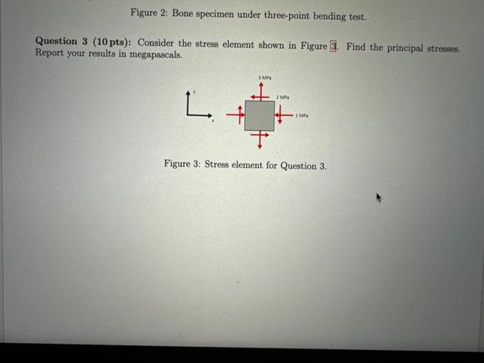 Solved Figure 2: Bone specimen under three-point bending | Chegg.com